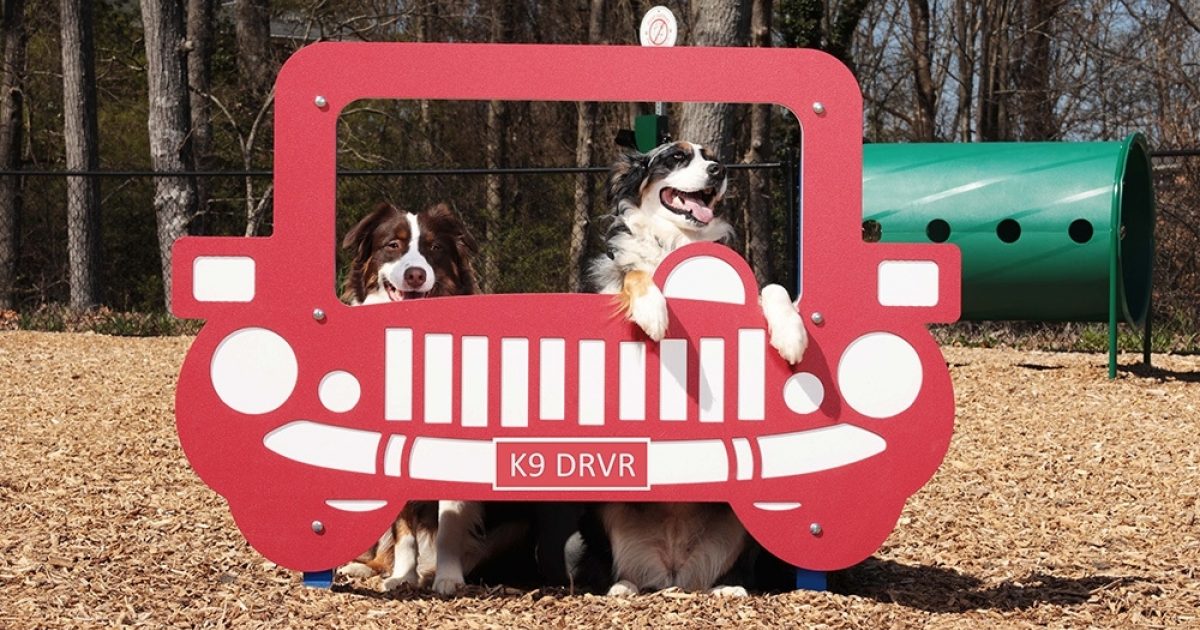 Designing a Dog Park: From Agility Equipment… | Cunningham Recreation